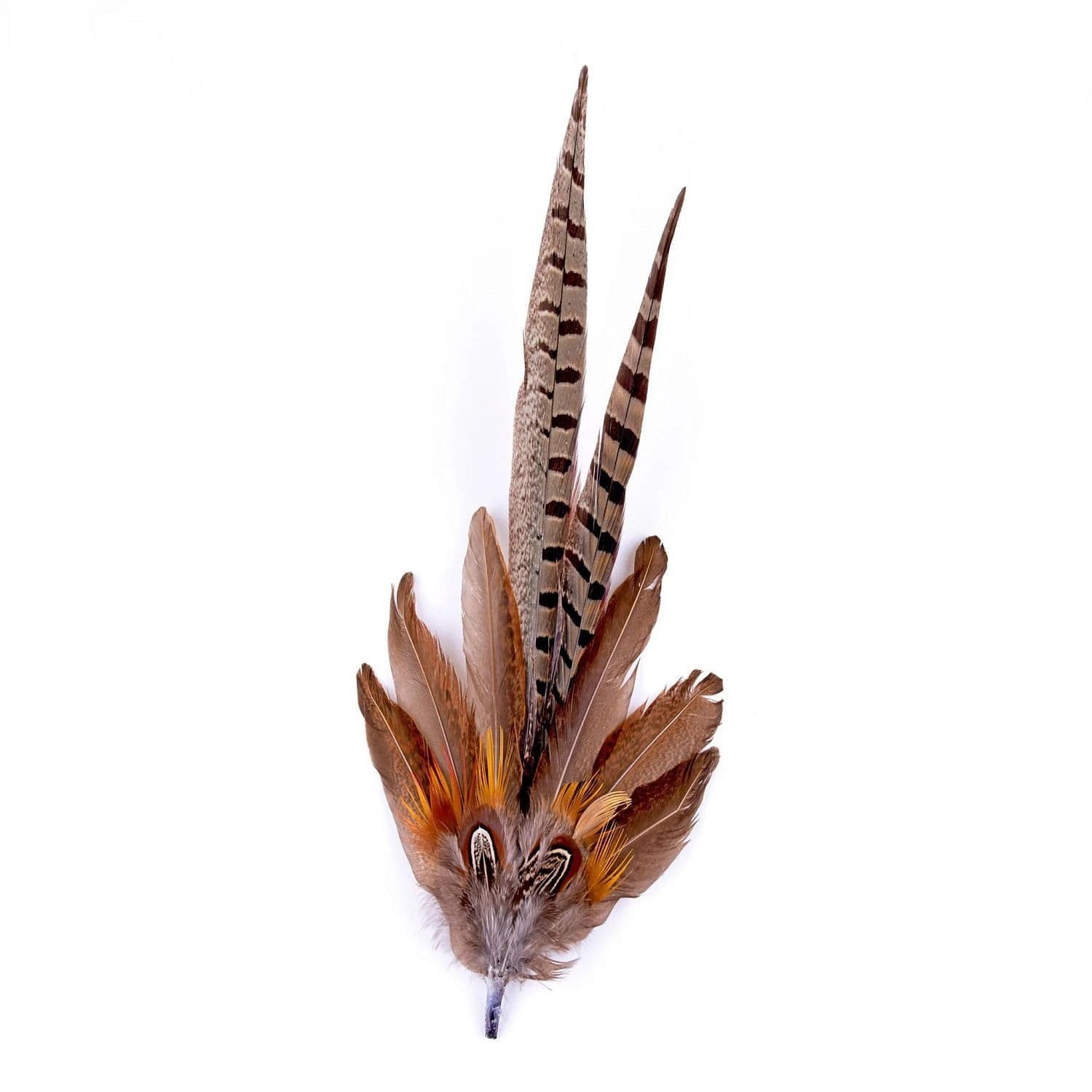 Feather Mount | Large | Pheasant feathers NO Peacock Eye