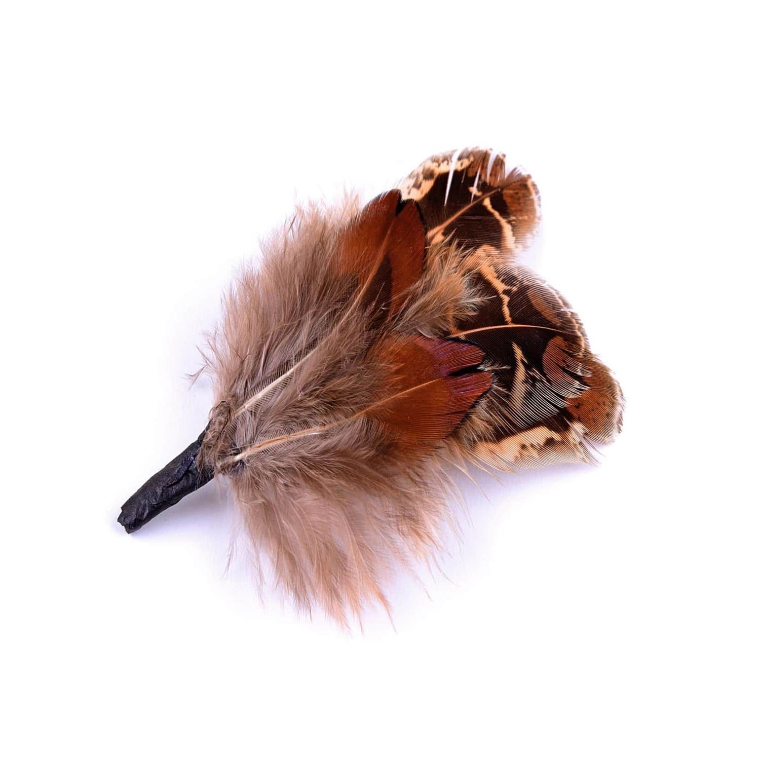 Feather Mount | Small | Pheasant feathers