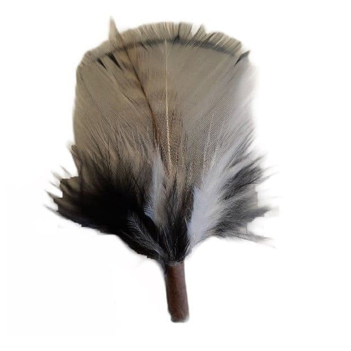 Feather Mount | Small | Turkey feathers Multiple Colours