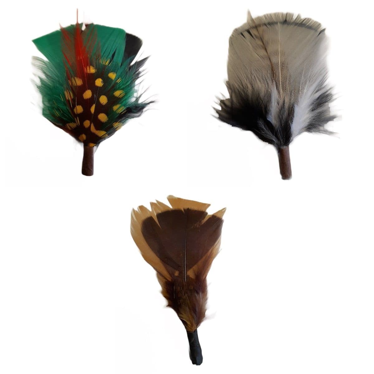 Feather Mount | Small | Turkey feathers Multiple Colours